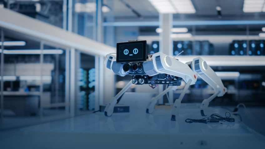 Fido the Robot? - Business In Focus Magazine